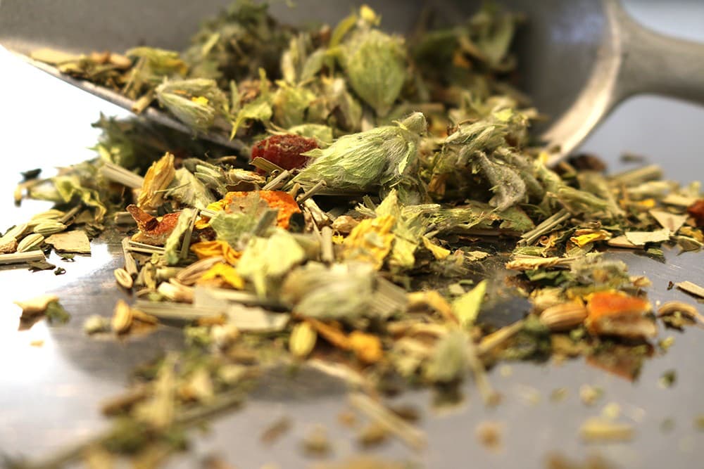 Herstellung von Tee: Von Pflanze bis zur Tasse | Teeblatt